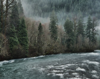 Portland Oregon After a Morning Rain by boppinthebluesphotos