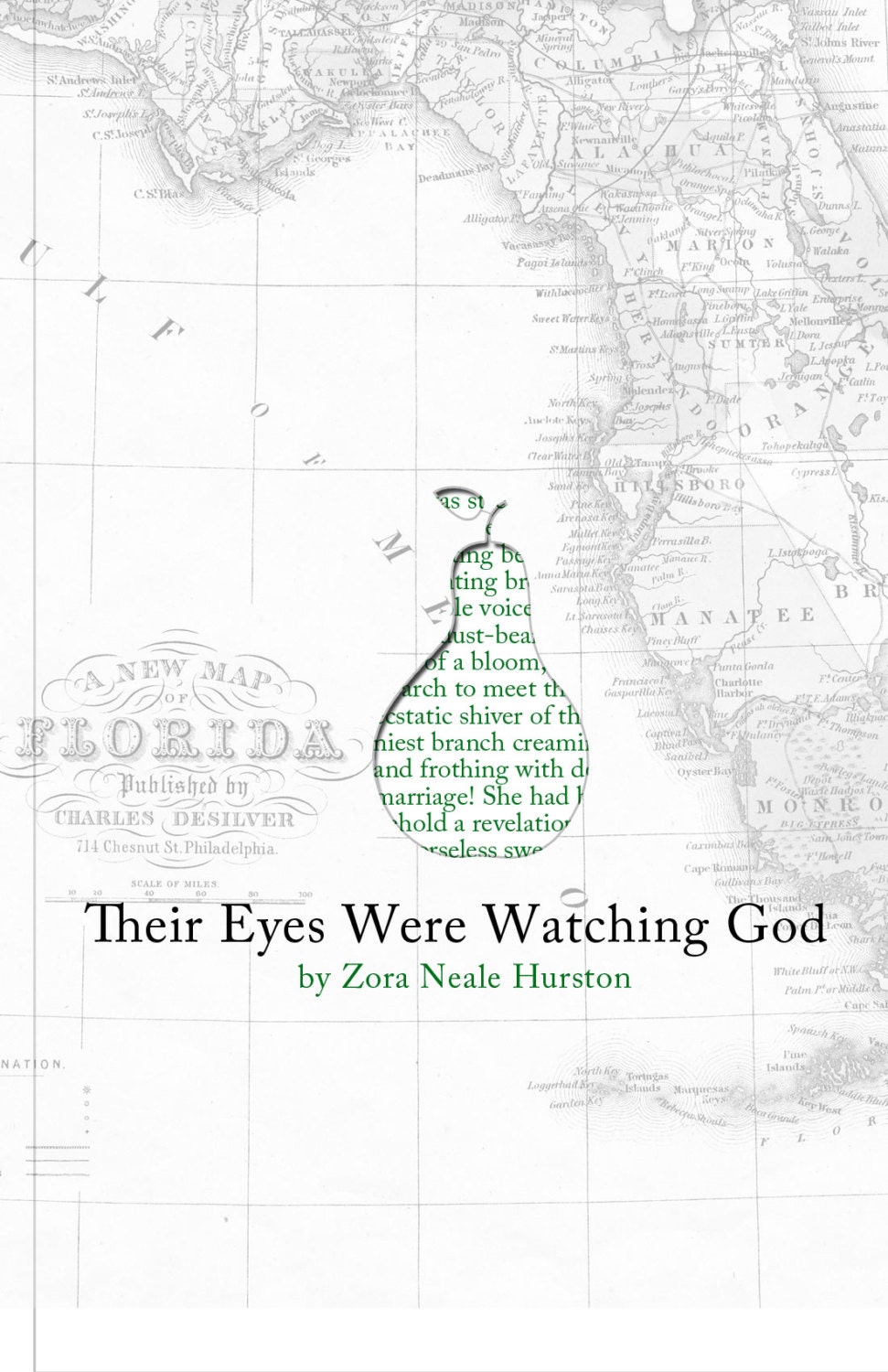 Their Eyes Were Watching God Poster Print