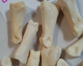 Popular items for deer toe bones on Etsy