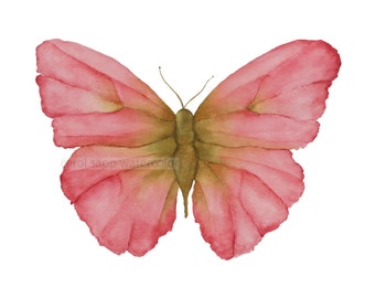 Peach butterfly | Etsy