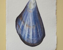 Unique mussel shells related items | Etsy