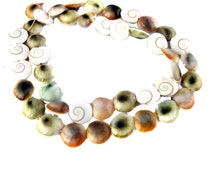 Popular items for shiva shell on Etsy