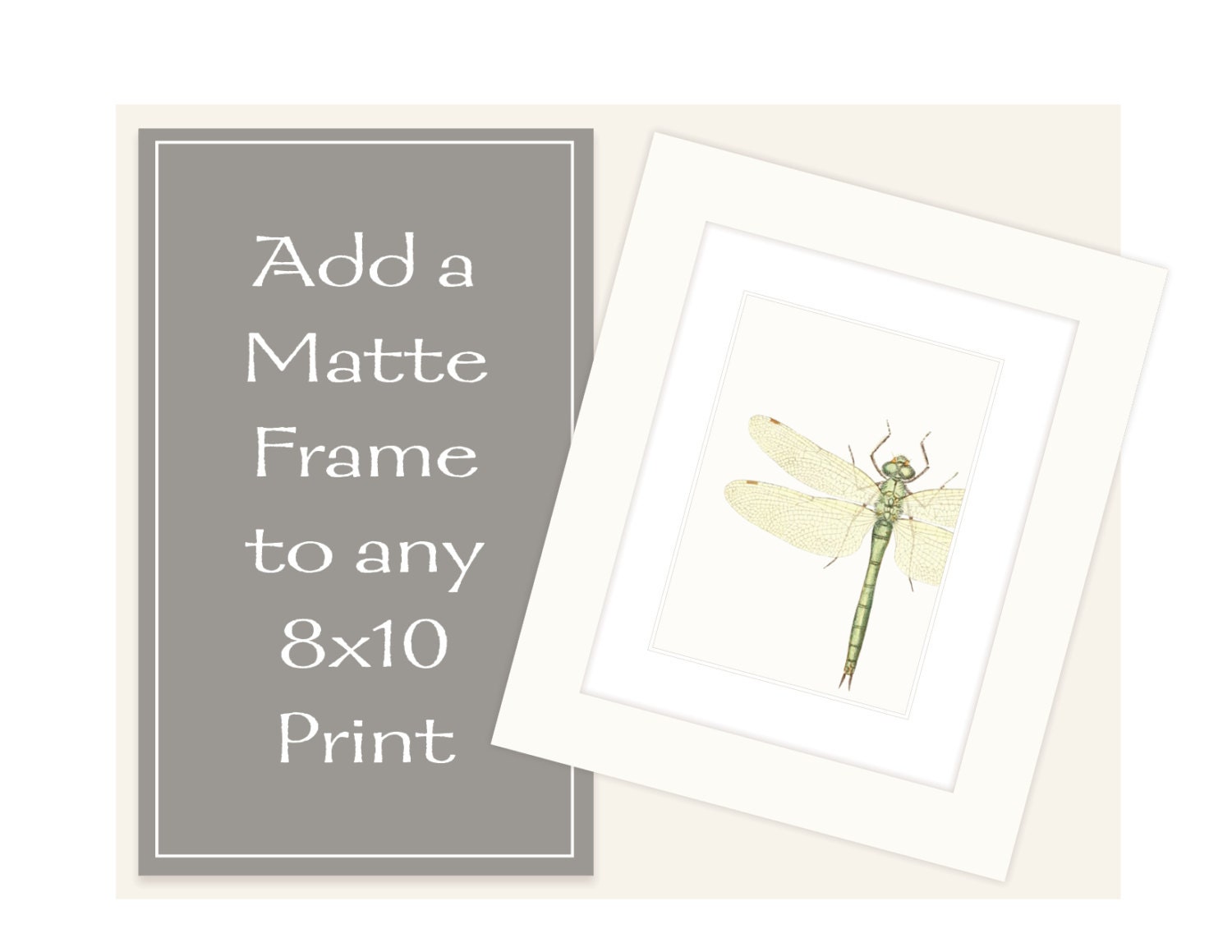 Matte Framing for 8 x 10 Prints