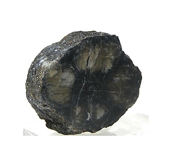 Andalusite Chiastolite Crusader Cross Stone Crystal Polished