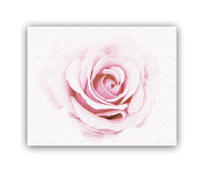 Pink Rose Art Print for Baby Nursery or Girls room Decor