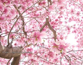 Sakura wall art | Etsy