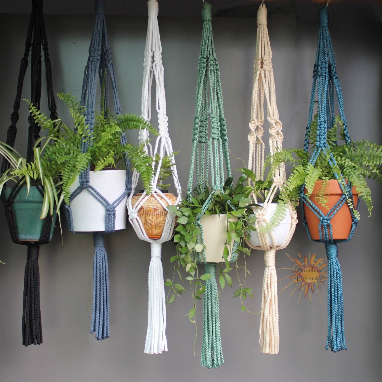 Macram Plant Hangers In Assorted Neutral Colours
