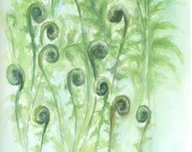 Popular items for fiddlehead fern on Etsy