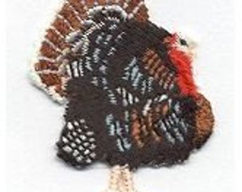 Unique wild turkey feathers related items | Etsy