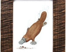 Popular items for platypus art on Etsy