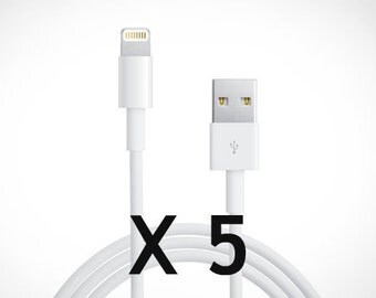 Iphone 5 charger
