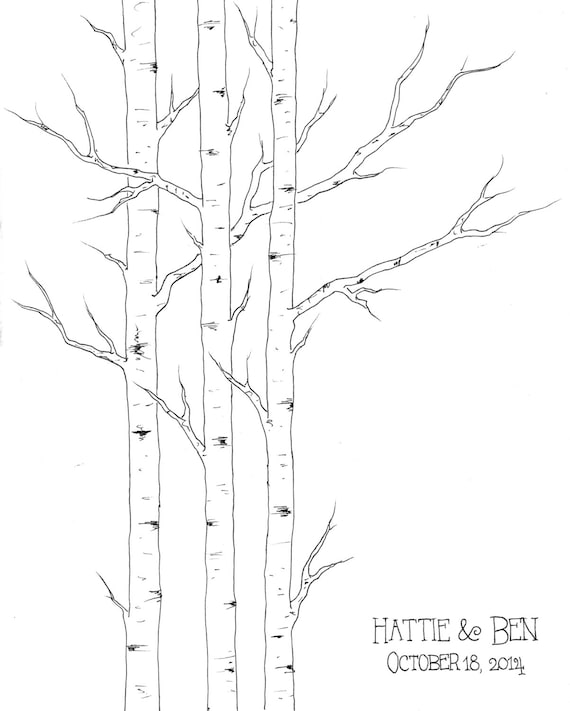 Aspen Tree Coloring Page Sketch Coloring Page