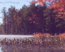 Popular items for whimsical autumn on Etsy