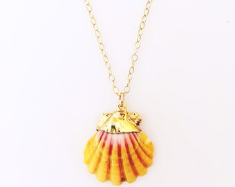 SALE SALE SALE Gold dipped Sunrise shell necklace