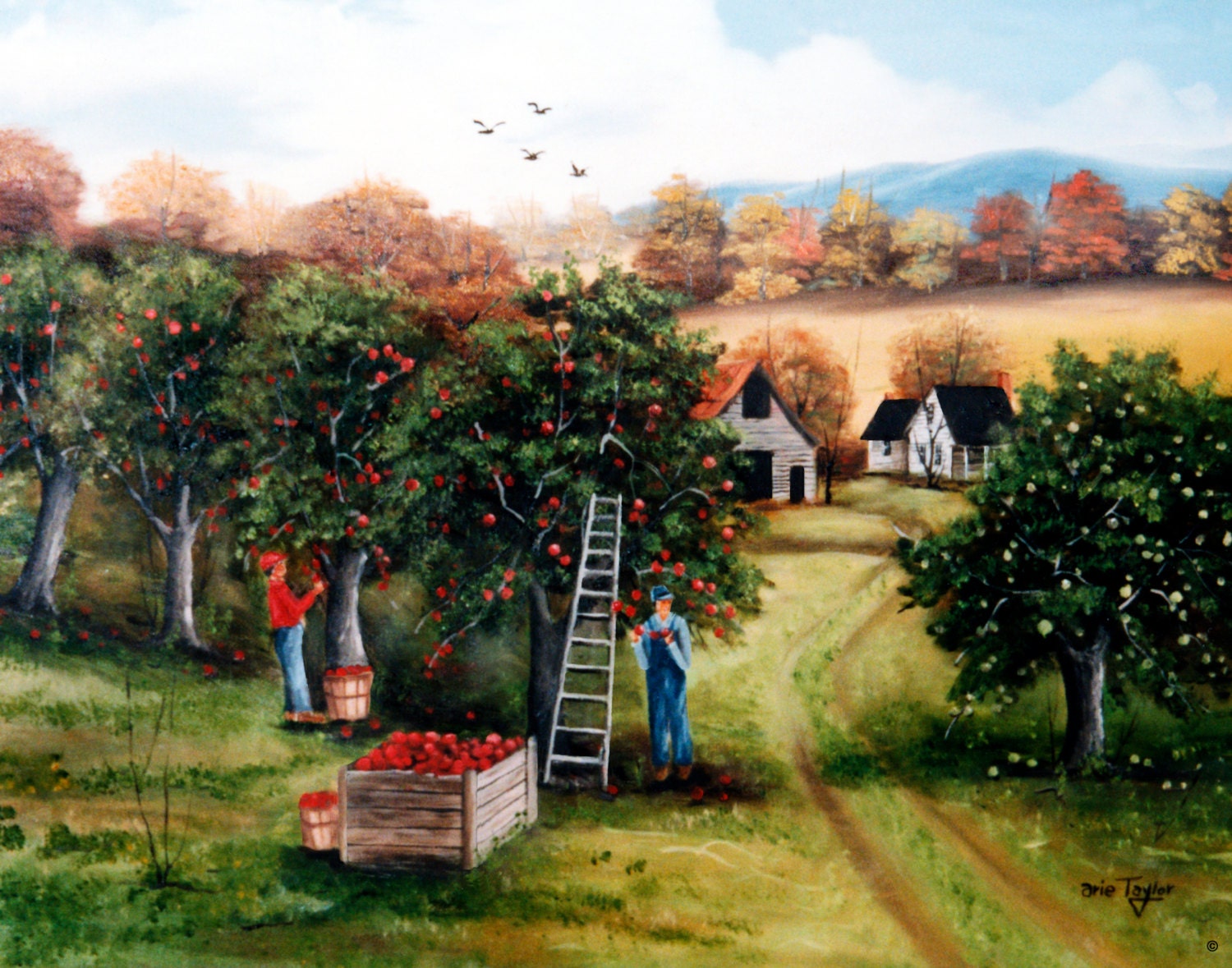 Landscape Apple Orchard Picking Apples Autumn Mountain Country