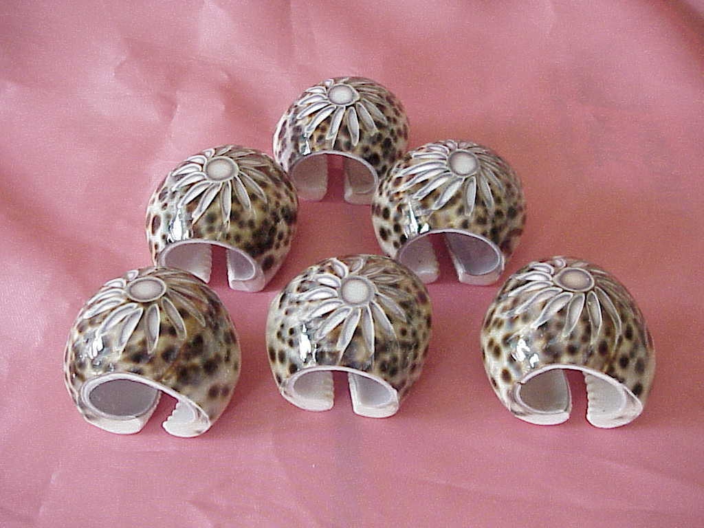 6 Vintage Sea Shell Beach Napkin Rings – Haute Juice