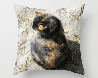 Tortoise shell cats | Etsy