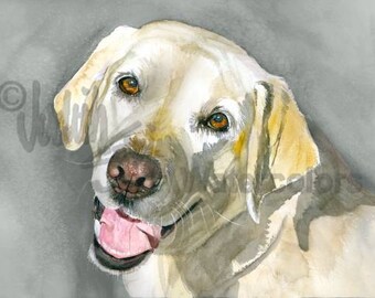 Labrador Retriever Chocolate Brown Lab AKC Sporting Pet by k9stein