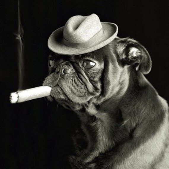 Pug Smoking Cigar Print Decoupaged on Wood
