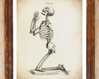 Human skeleton drawing, skeleton art, medieval art, human bones ...