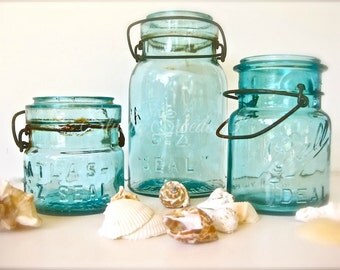 Seashells in jar | Etsy