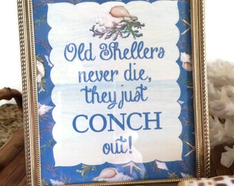 Popular items for horse conch shell on Etsy