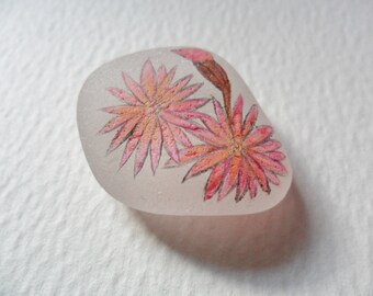 Montana bitterroot flower - Acrylic miniature painting on English sea glass
