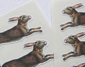 stationery gift wrapping & design studio by seasprout on Etsy