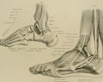 Popular items for human feet on Etsy