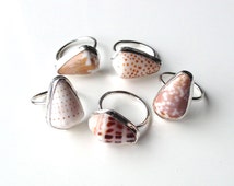 Popular items for hawaiian cone shell on Etsy