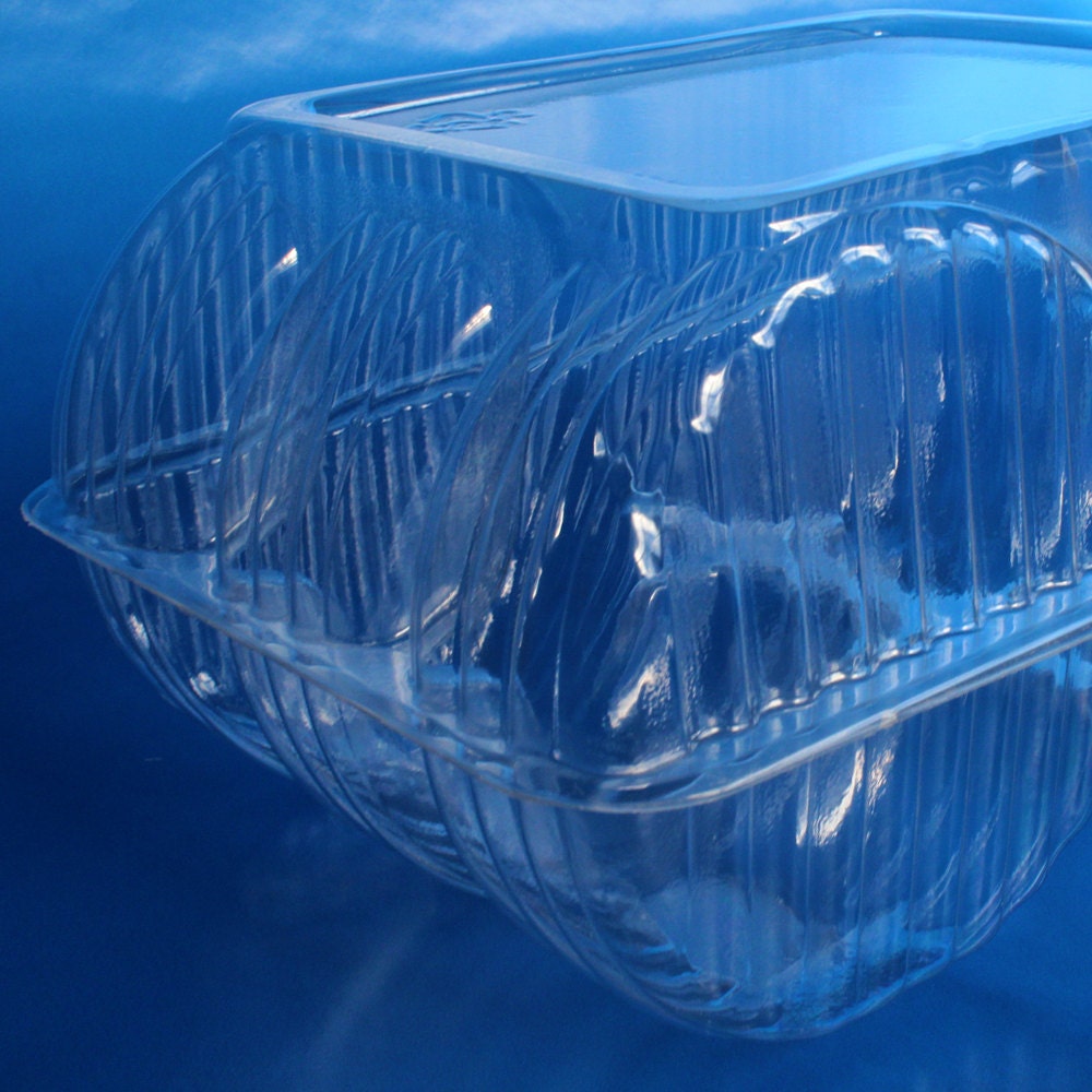 Donut Container . Clear Plastic . Disposable Bakery Box