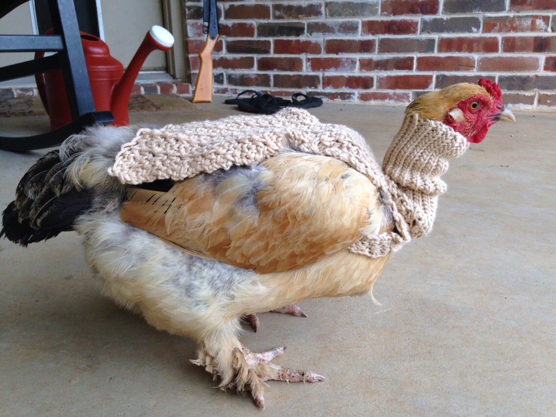 Turtleneck Half Chicken Sweater chickens hens sweaters