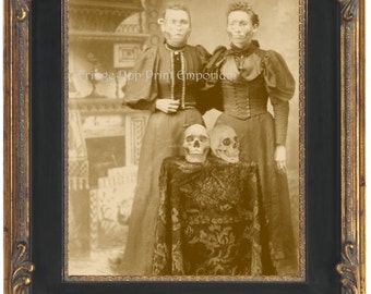 Victorian Macabre Skeleton Family Art Print 8 x 10 by fringepop