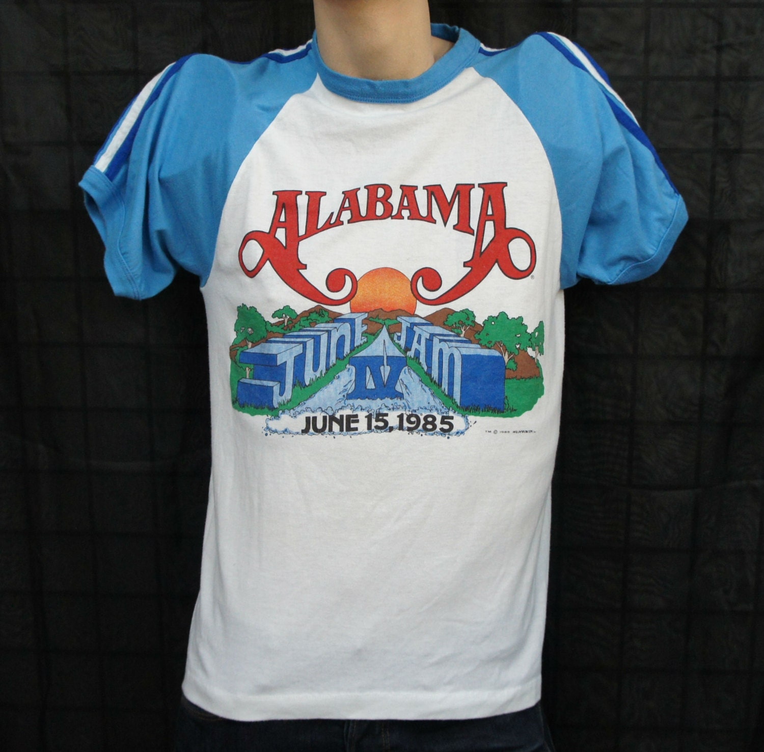 Vintage 1985 Alabama June Jam IV Tshirt Size L by AmusedClothingCo