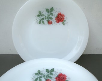 Popular items for arcopal on Etsy