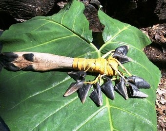 Popular items for deer toes on Etsy