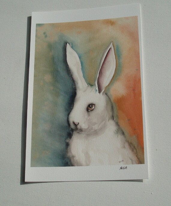 Portrait of a White Rabbit Fine Art Bunny Print