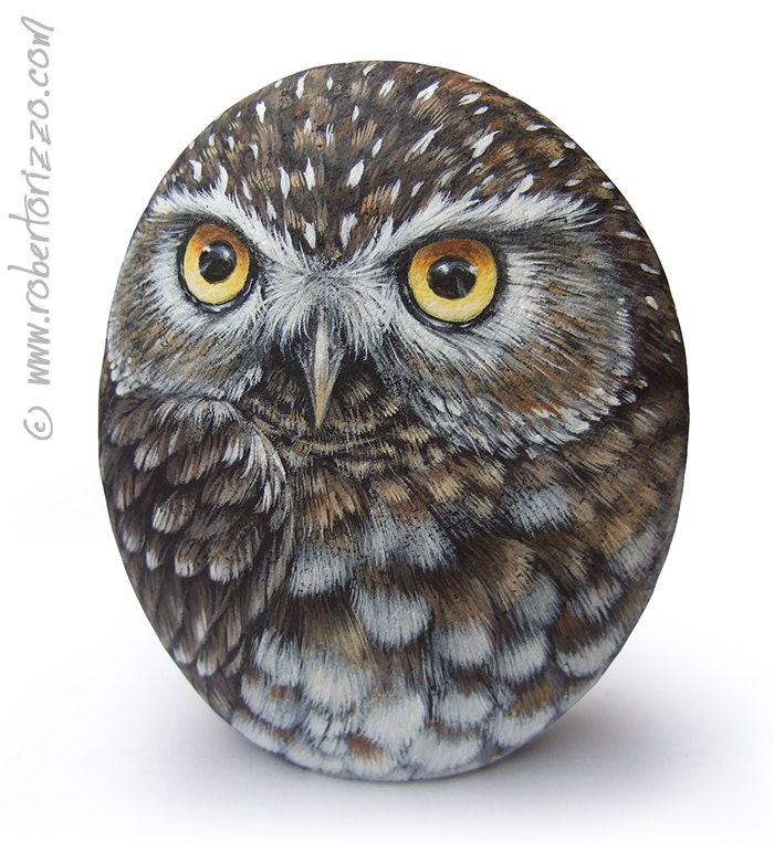 Original Hand Painted Little Owl Rock