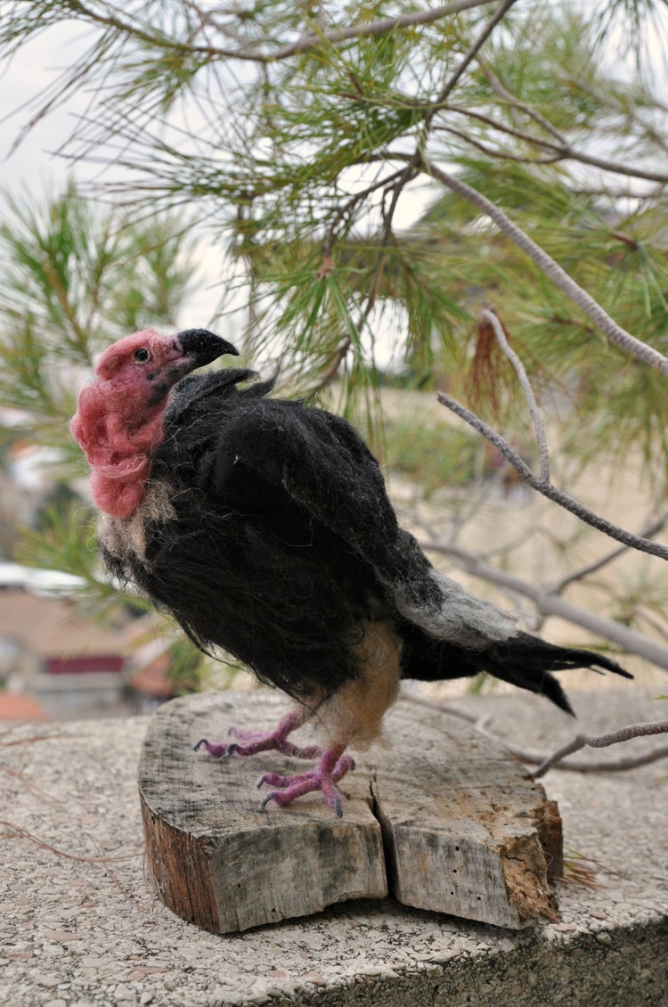 Needle Felted Bird. Red Headed Vulture. Made to by darialvovsky