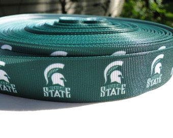 Popular items for michigan state university on Etsy
