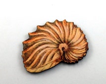 Popular items for seashell pin on Etsy