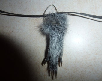 Popular items for squirrel feet on Etsy