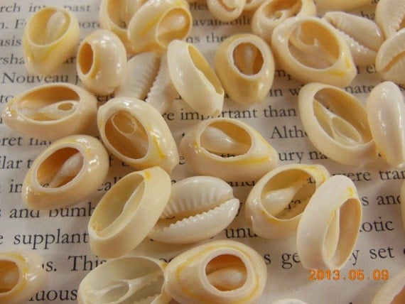 30 pieces of cowrie Shells seashell Beads slice cowry craft