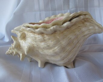 Conch shell planter | Etsy