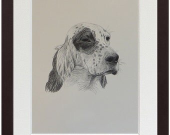 English setter print | Etsy
