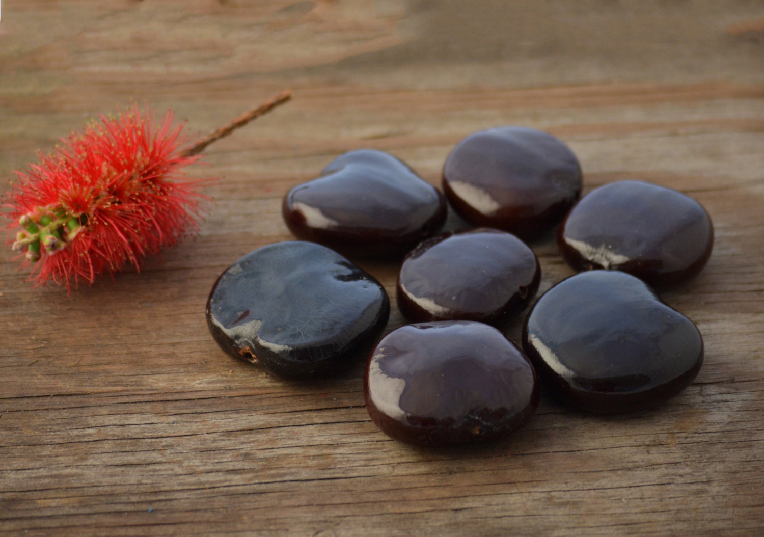 Congolo Nuts: 2 pcs Natural Congolo / Corazon Seeds from South