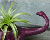 TheGnakedGnome on Etsy