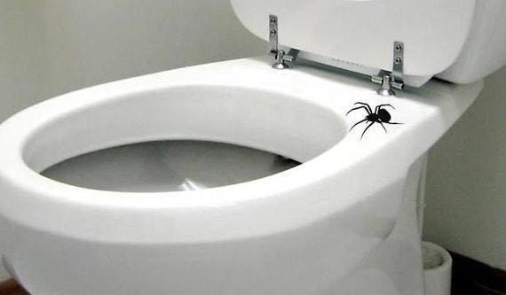 Toilet Spider Memes
