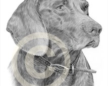 Unique english pointer art related items | Etsy