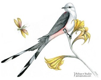 Popular items for scissor tail on Etsy